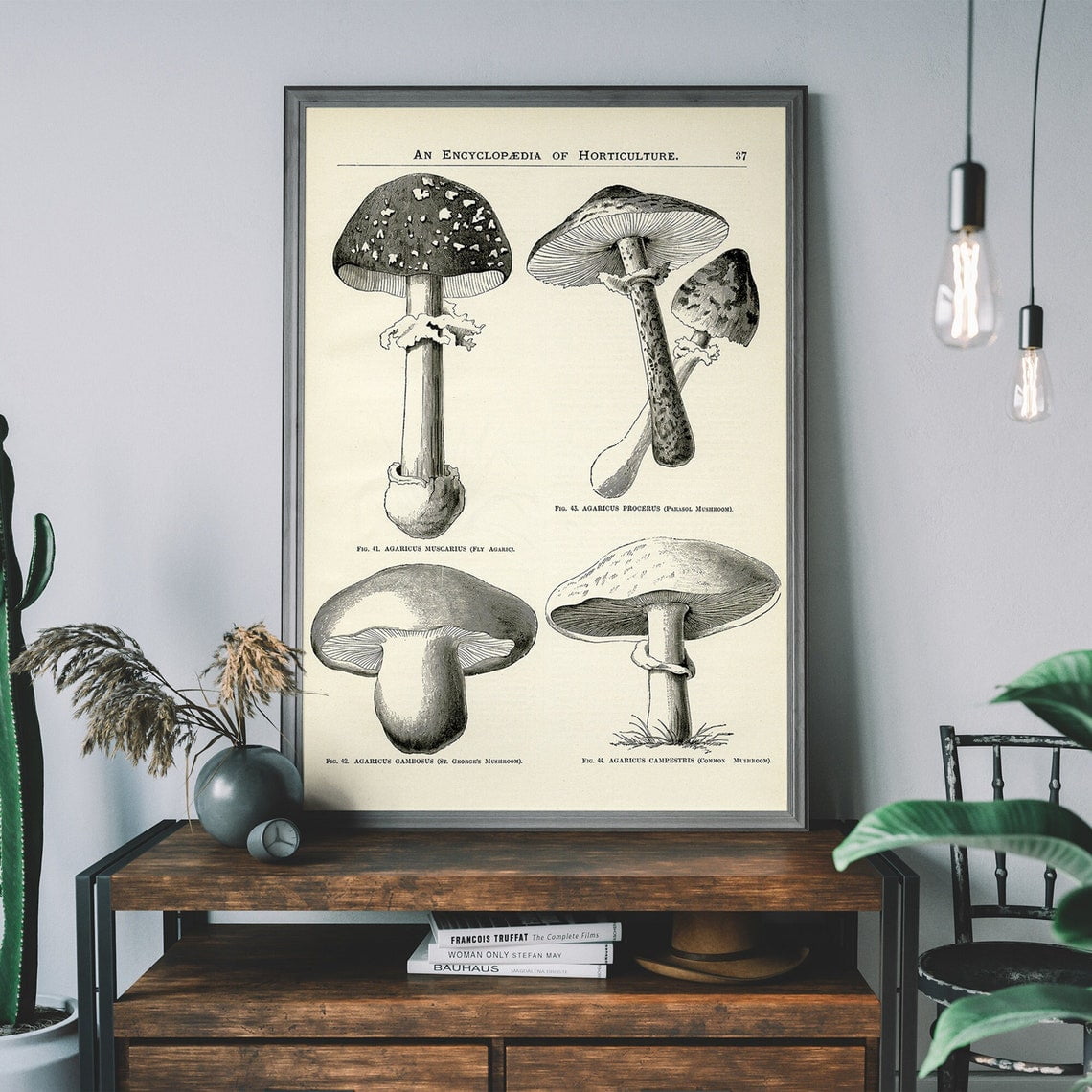 DOPAPRINT Vintage Mushroom Wall Art, Horticulture Gifts, Toadstool ...