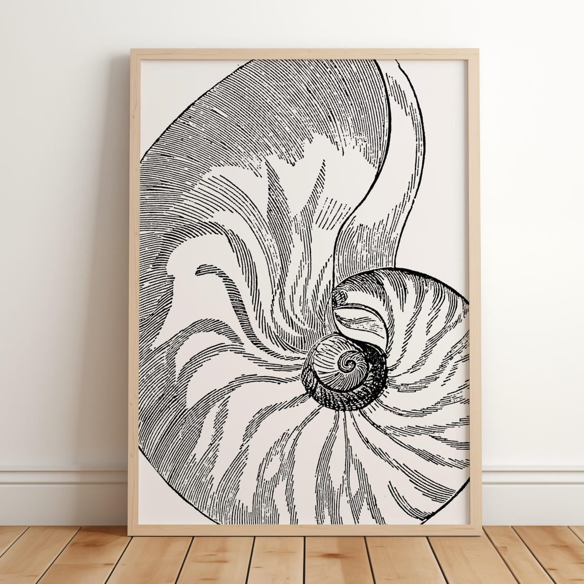 DOPAPRINT Vintage Sea Shell Wall Art Print Coastal Beach House Decor ...