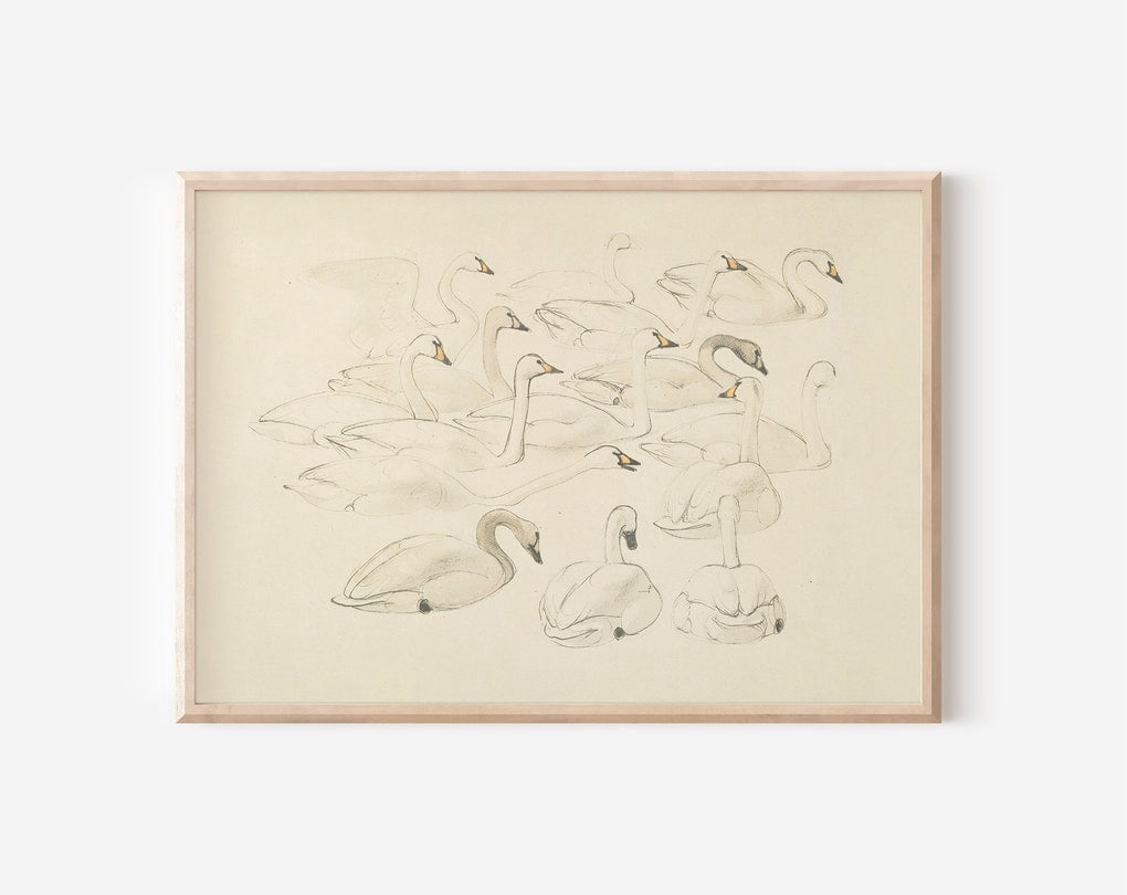 DOPAPRINT Vintage Swan Print Downloadable Prints Printables ...
