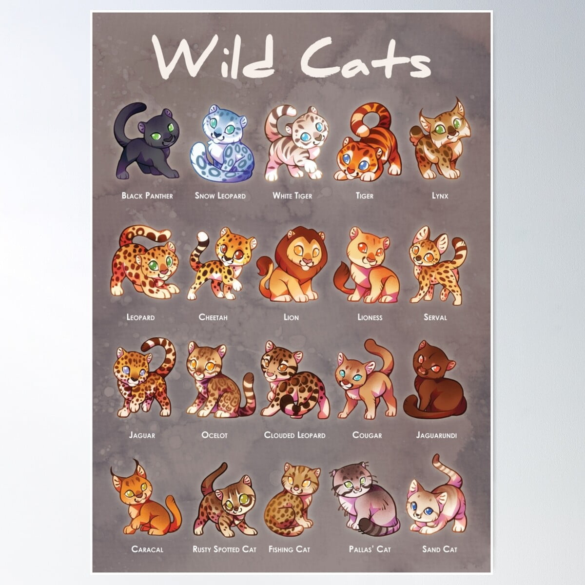 DOPAPRINT Wild Cats - Educational Poster Print For Kids Of Big And ...