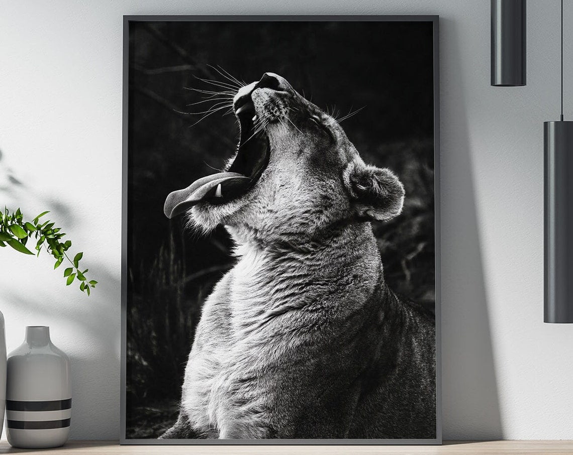 DOPAPRINT Yawning Lion Poster, Poster Print, Wall Decor, Wildlife ...