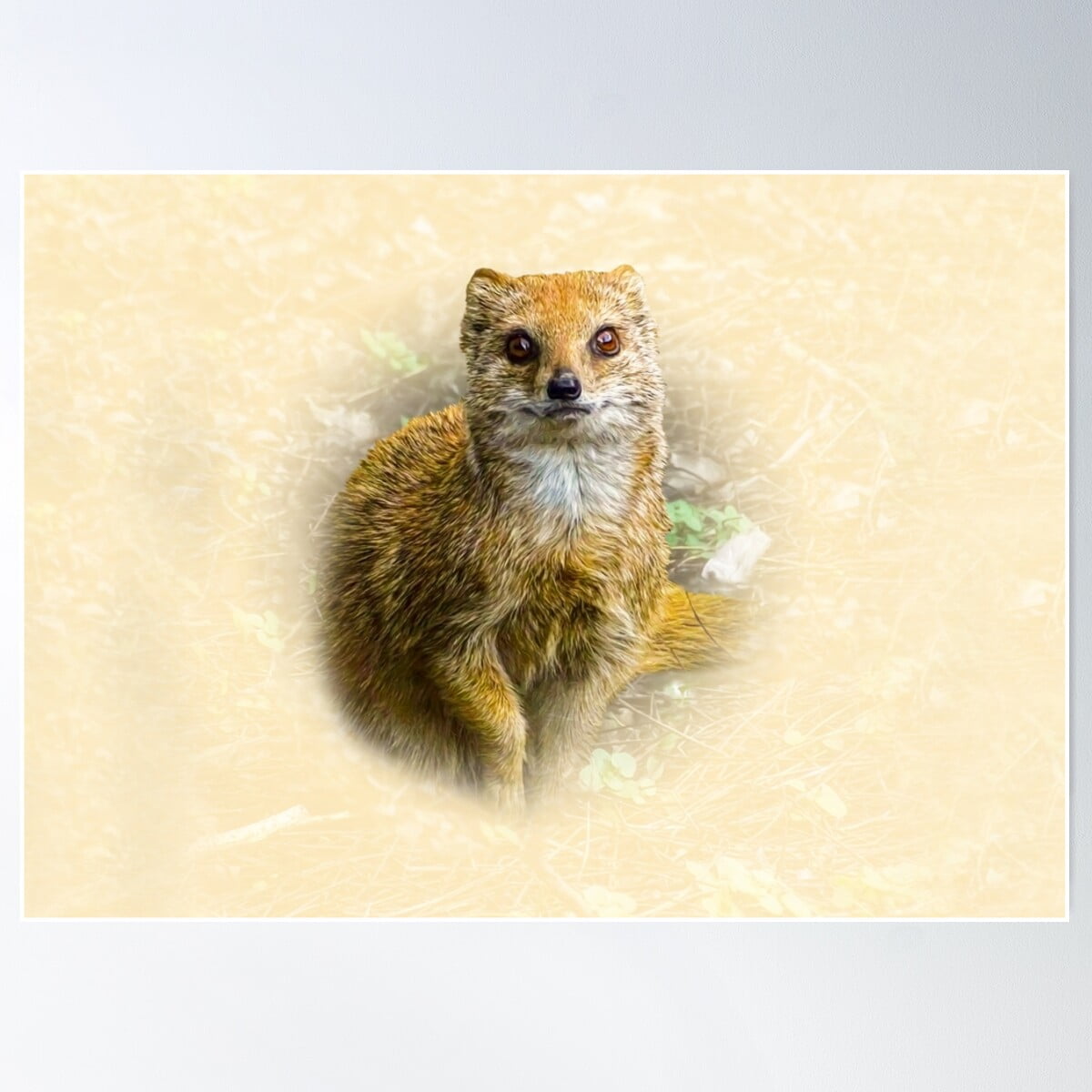 DOPAPRINT Yellow Mongoose Poster Wall Art, Bedroom NO FRAMED POSTER ...