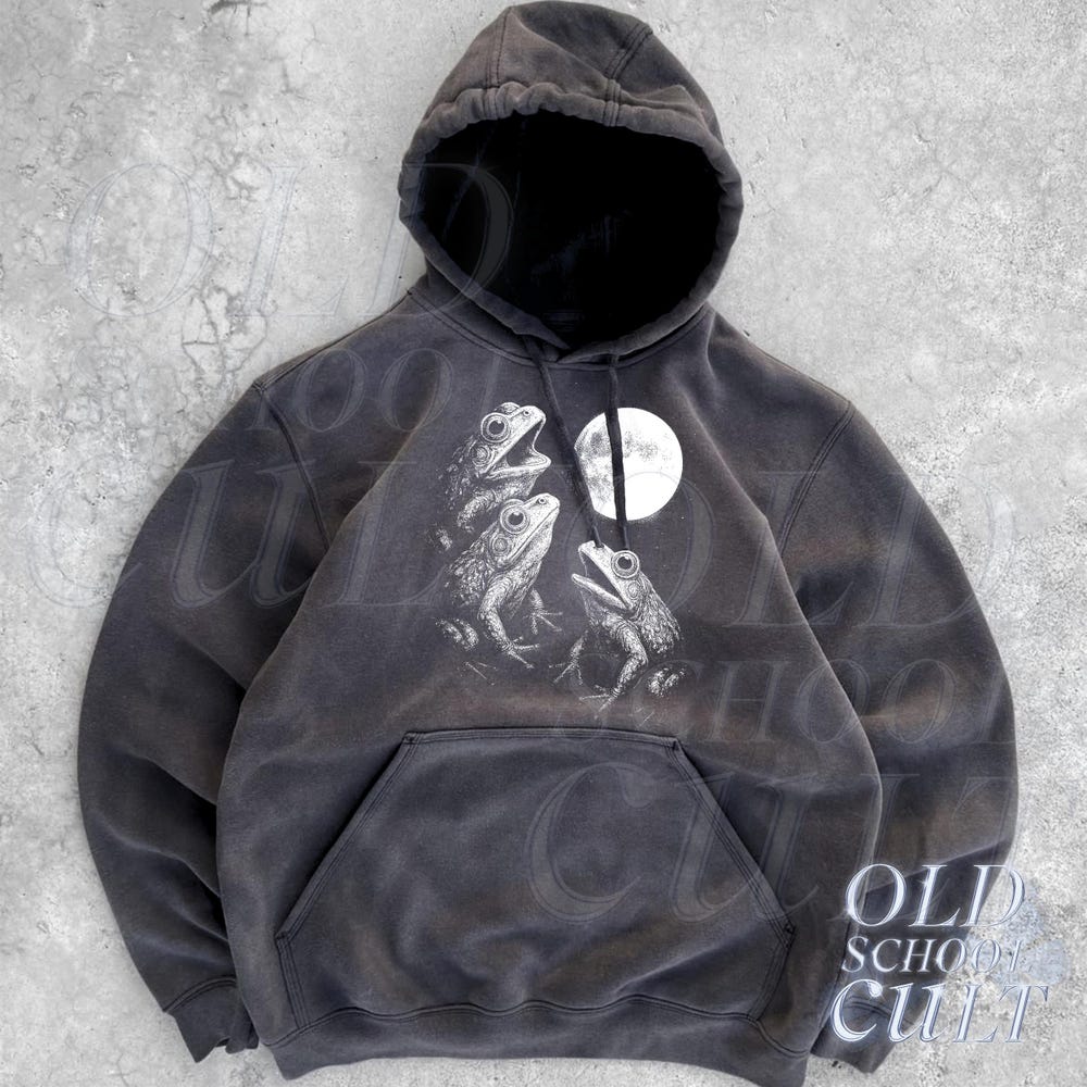 DOPASHIRT Frog Moon Vintage 90S Graphic Hoodie, Retro Funny Frog 90S ...