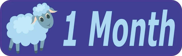 DOPASTICKER 1 Month Boy Car Sticker Truck Sticker Phone Sticker, Latop ...