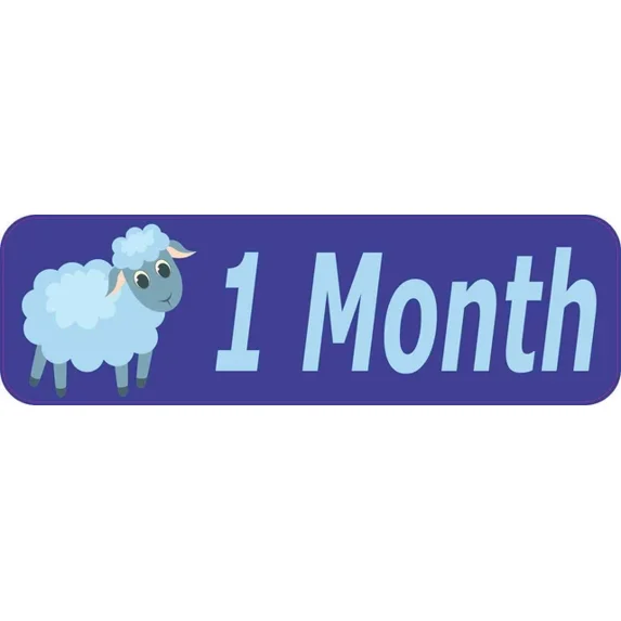 DOPASTICKER 1 Month Boy Car Sticker Truck Sticker Phone Sticker, Latop ...