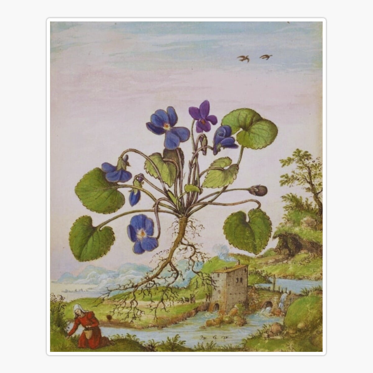 DOPASTICKER 16Th Century Botanical Watercolor - Temple Of Flora ...