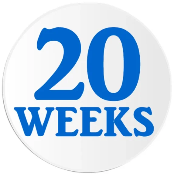 DOPASTICKER 20 Weeks Sticker, Pregancy Mother Pregnant Baby Phone Decal ...