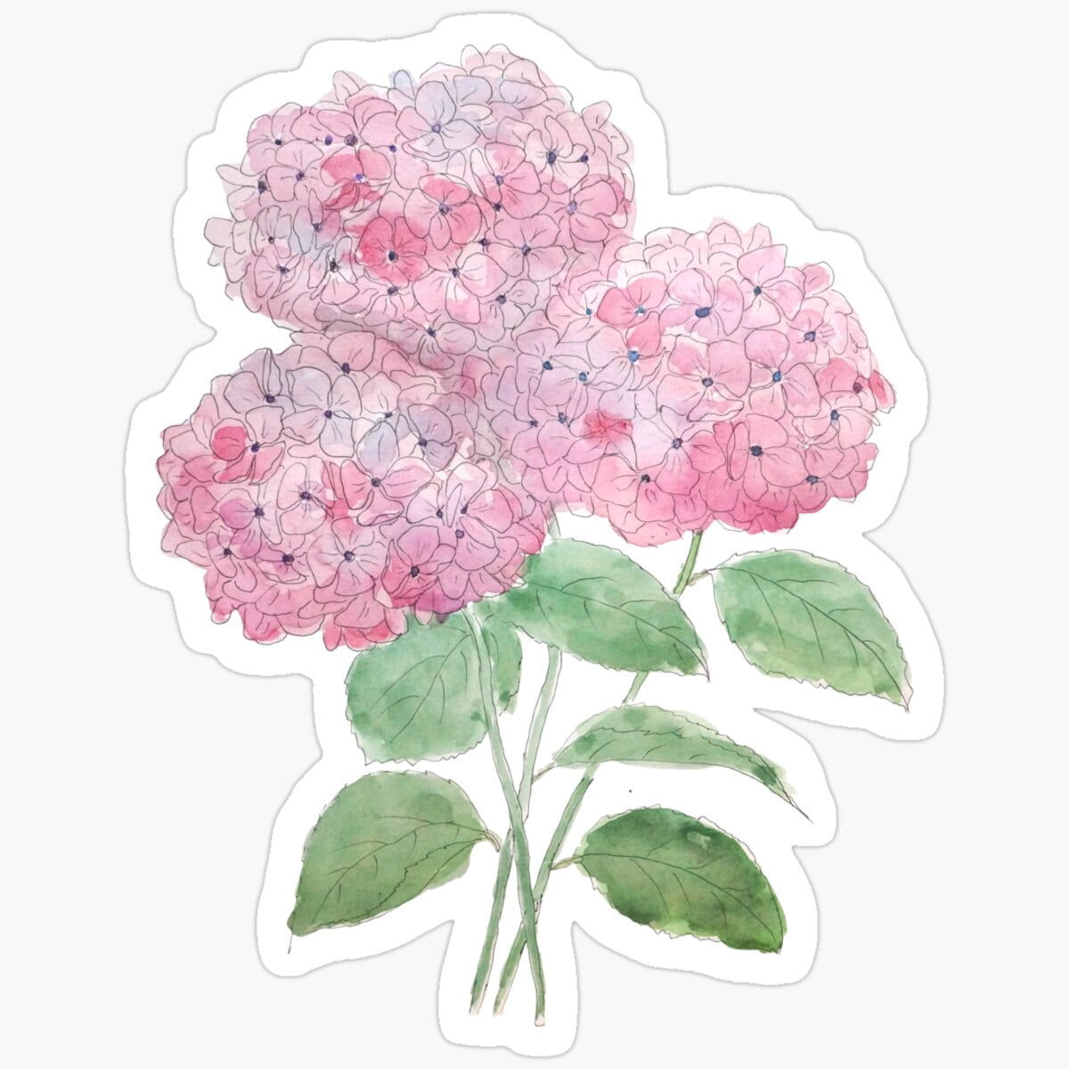 DOPASTICKER 3 Pink Hydrangea Flower Ink And Watercolor Sticker Birthday ...