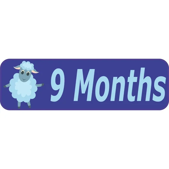 DOPASTICKER 9 Month Boy Sticker Phone Sticker, Latop Sticker, Lover ...