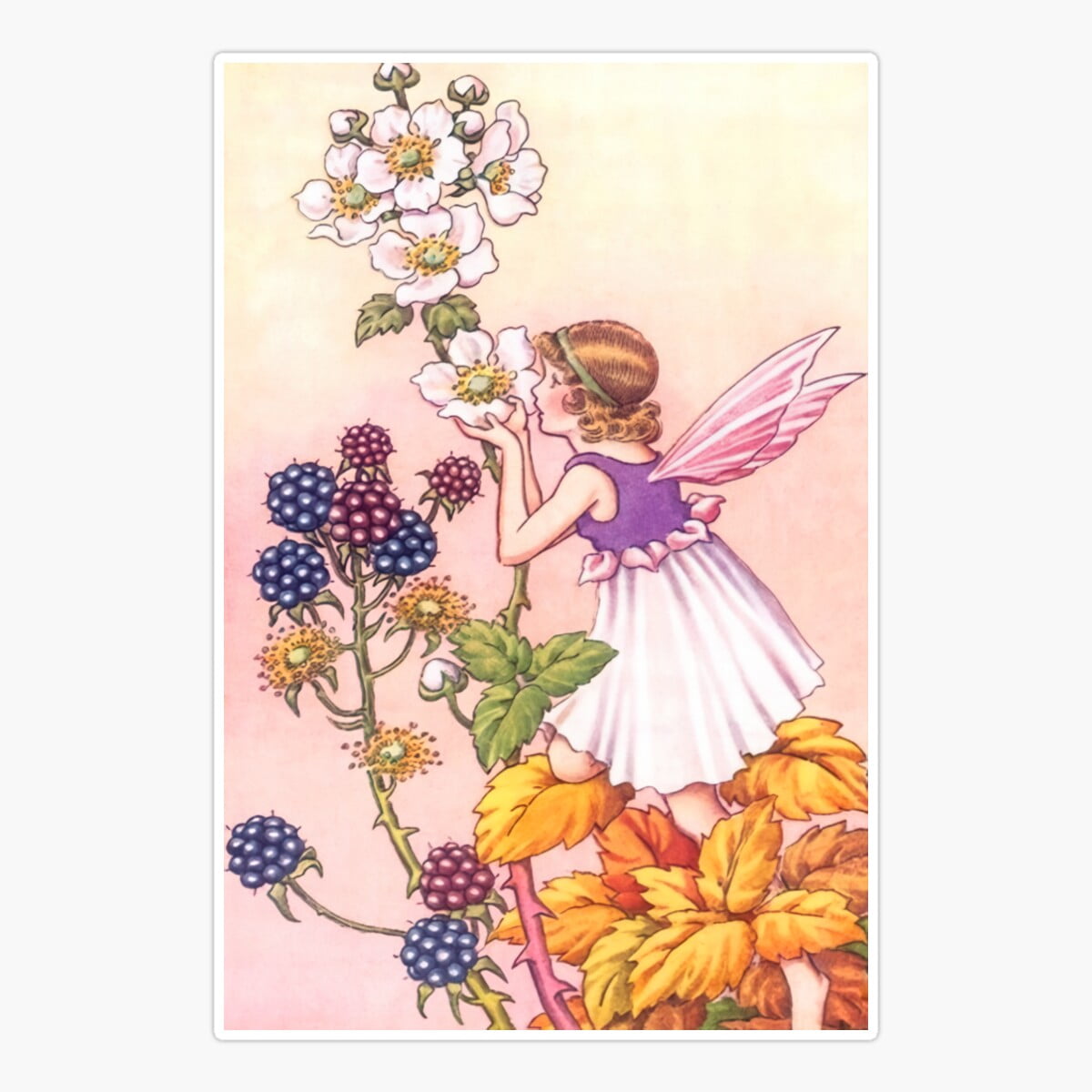 DOPASTICKER A Bunch Of Wild Flowers, Blackberry, Fairy Illustration By ...