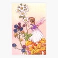 DOPASTICKER A Bunch Of Wild Flowers, Blackberry, Fairy Illustration By ...