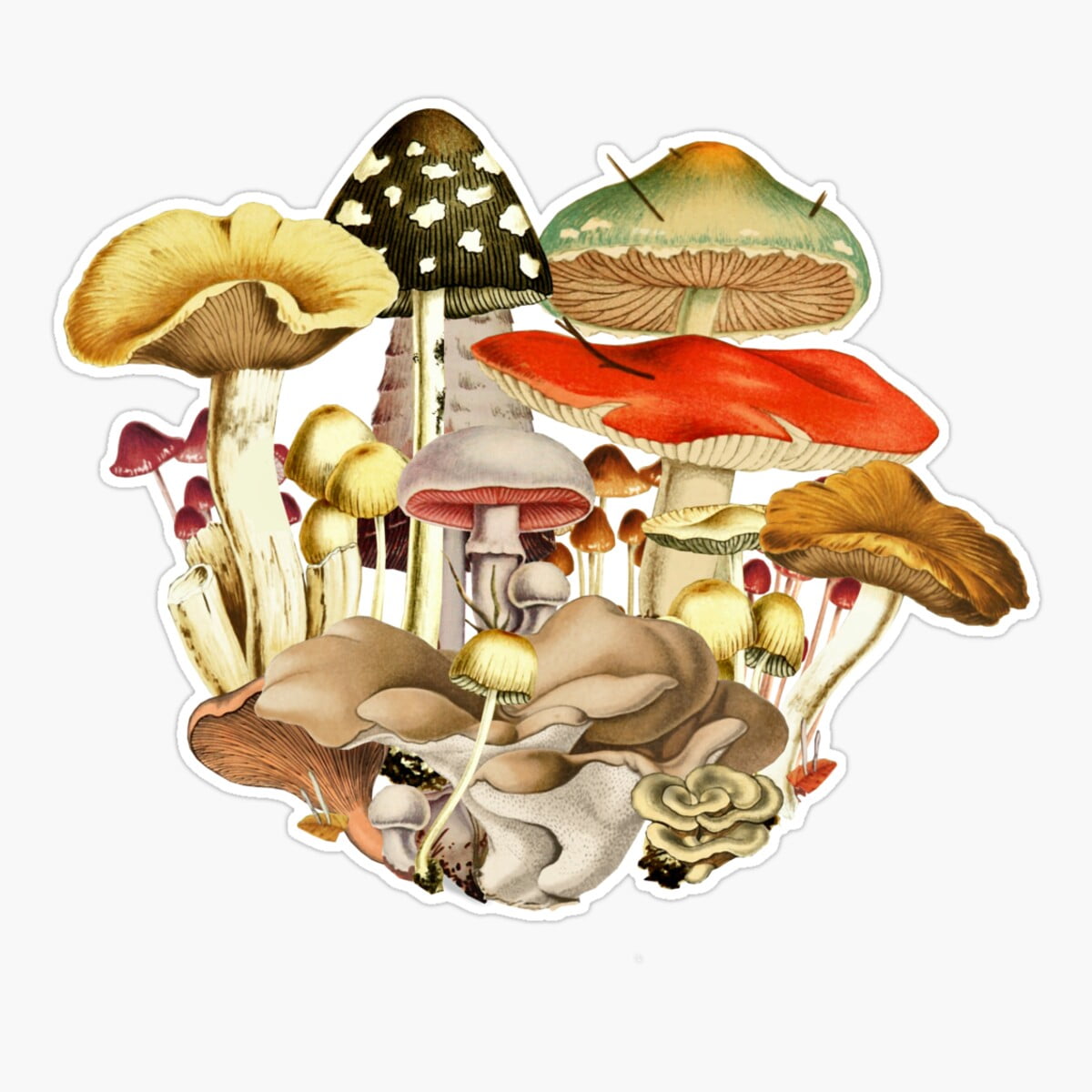 DOPASTICKER A Multitude Of Mushrooms Sticker, Phone Sticker Car ...