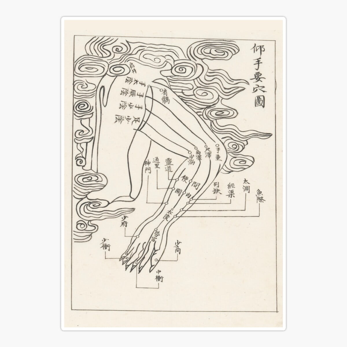 DOPASTICKER Acupuncture Points And Meridians-The Arm Sticker, Phone ...