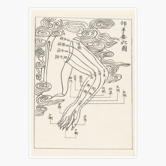 DOPASTICKER Acupuncture Points And Meridians-The Arm Sticker, Phone ...