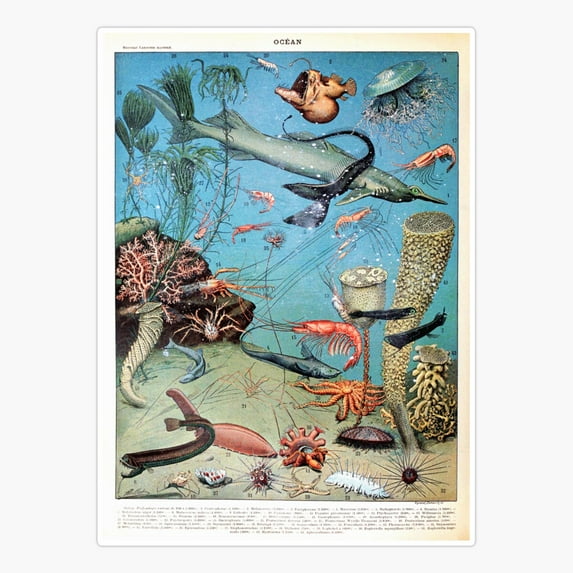 DOPASTICKER Adolphe Millot - Ocean A - French Poster Sticker, Phone ...