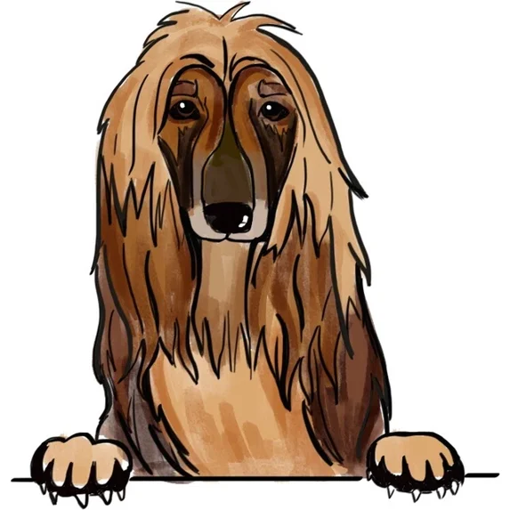 DOPASTICKER Afghan Hound Dog Sticker Adopt Cute Dog Puppy Peeking Phone ...
