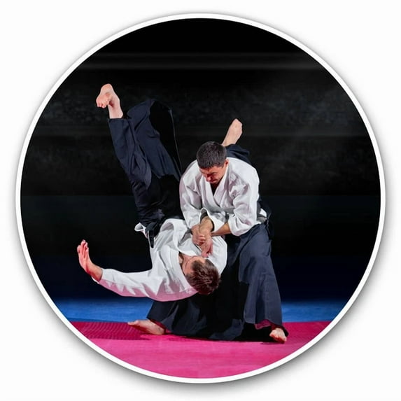 DOPASTICKER Aikido Martial Arts Karate Fight Cool Gift Decorative ...