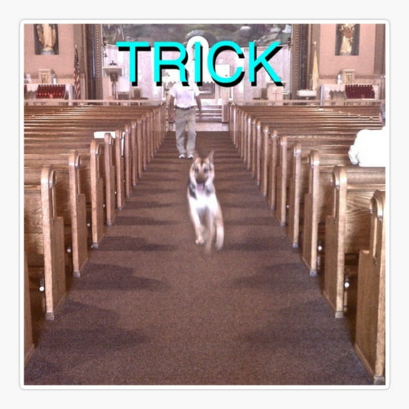 DOPASTICKER Alex G Trick Sticker, Phone Sticker Water Bottle Sticker ...