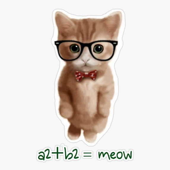 DOPASTICKER Algebra Cat Sticker, Phone Sticker Water Bottle Sticker Car ...