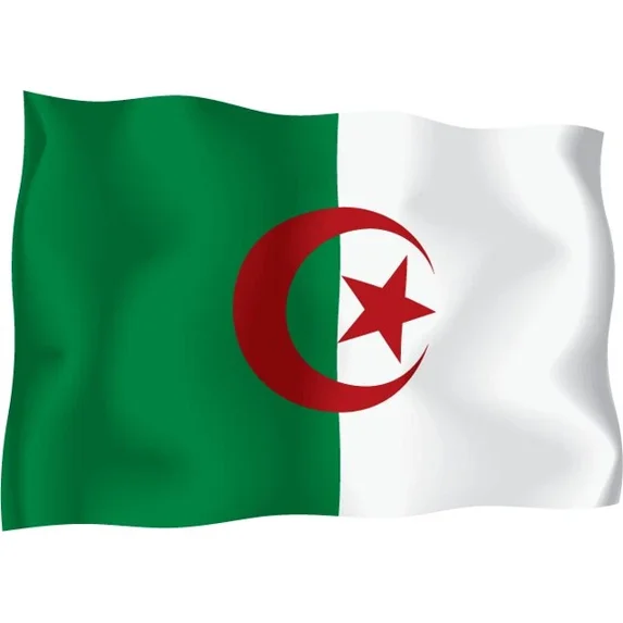 DOPASTICKER Algeria Flag Sticker Phone Decal Water Bottle Stickers ...