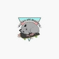 DOPASTICKER All Cats Are Beautiful, Trans Flag Skateboarding Opossum ...
