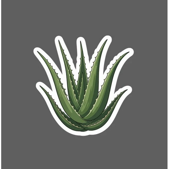 DOPASTICKER Aloe Vera Sticker Plant Succulent Medicine House Plant Gift ...
