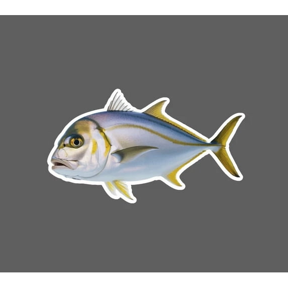 DOPASTICKER Amberjack Sticker Fish Ocean Beach Wildlife Nature Gift ...