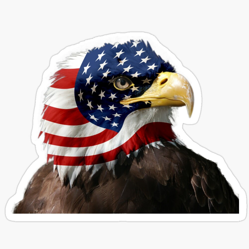 DOPASTICKER American Bald Eagle Sticker Fourth Of July Sticker ...