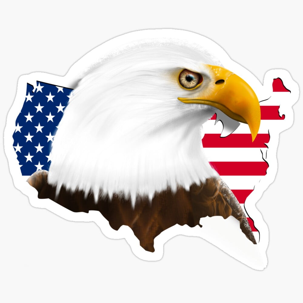 DOPASTICKER American Eagle In Usa Sticker Fourth Of July Sticker ...