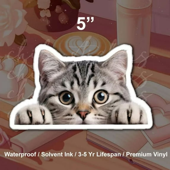 DOPASTICKER American Short Hair Persian Cat Kitty Peeking Peeker ...