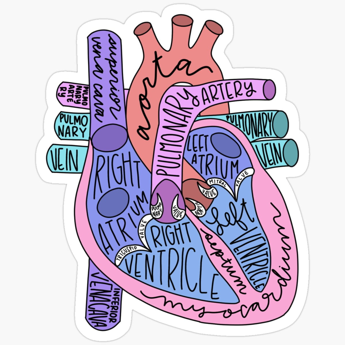 DOPASTICKER Anatomical Heart Sticker. Gift You - Decorate Laptops ...