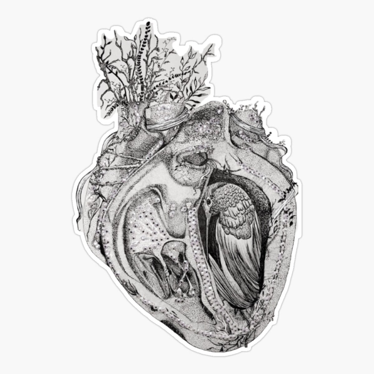 DOPASTICKER Anatomical Heart With Hummingbird (No Background) Sticker ...