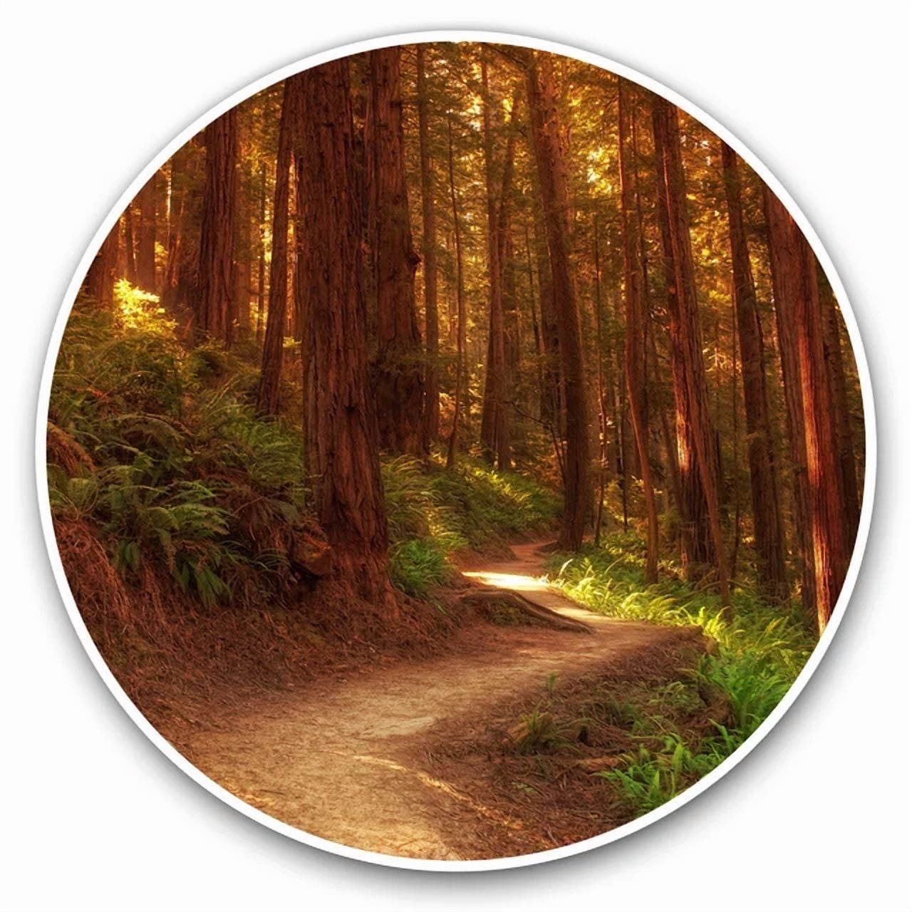 DOPASTICKER Ancient Redwood Tree Forest Cool Gift Decorative Laptop ...