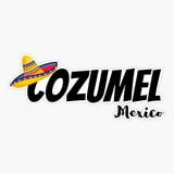 DOPASTICKER Andy Bernard The Office Rit Dit Dit Di Doo Sticker, Phone Sticker Car Stickers ...