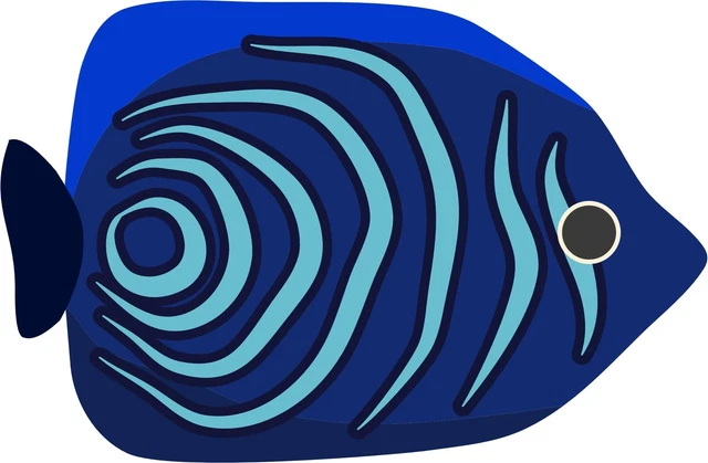 DOPASTICKER Angel Fish Sticker Beautiful Fish Aquarium Saltwater (6 ...