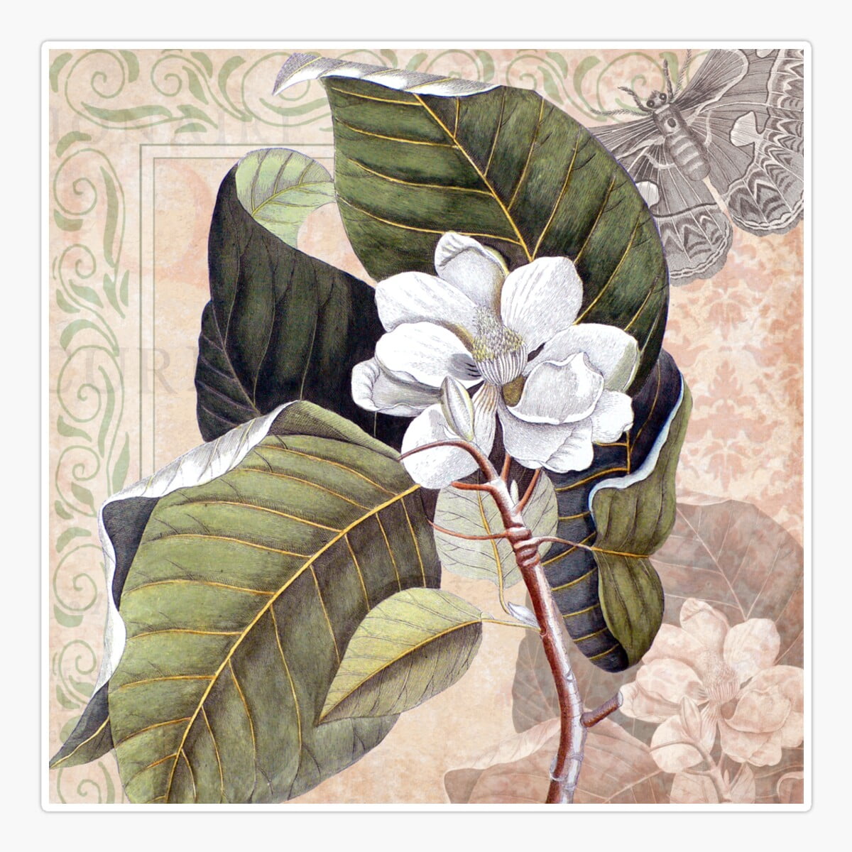 DOPASTICKER Antique Magnolia Collage Sticker, Phone Sticker Car Sticker ...