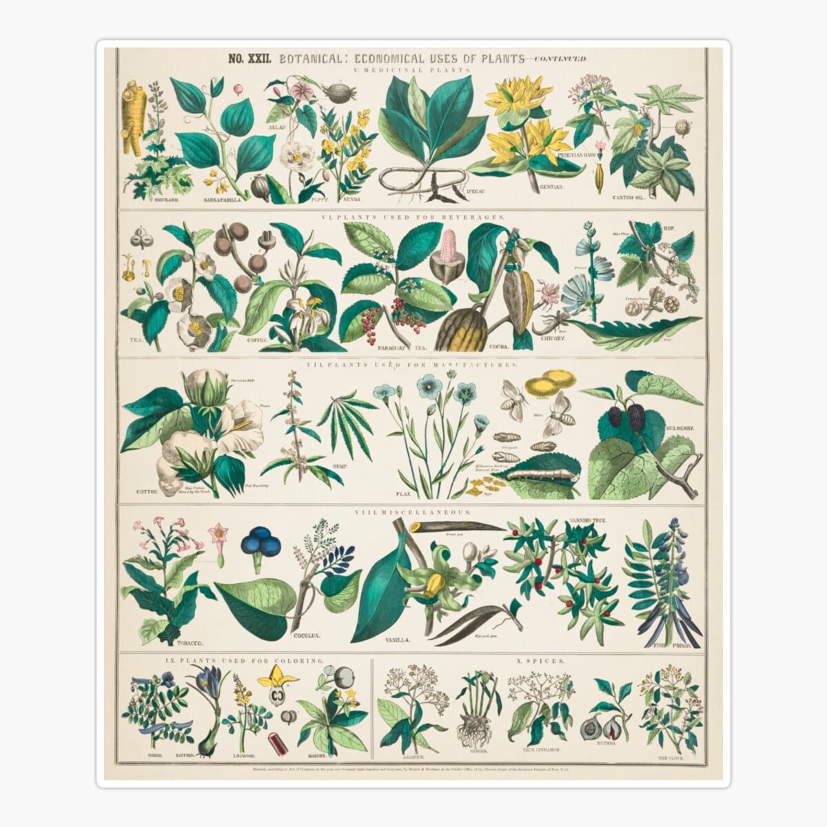 DOPASTICKER Antique Plant Chart Sticker, Phone Sticker Car Stickers ...