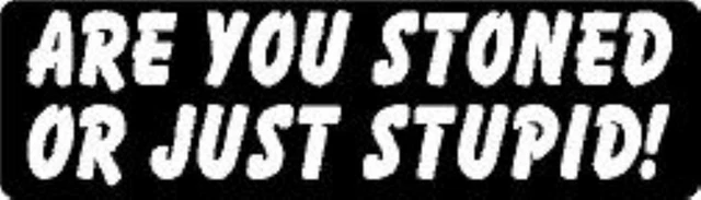 DOPASTICKER Are You Stoned Or Just Stupid! Sticker Hard Hat Sticker ...