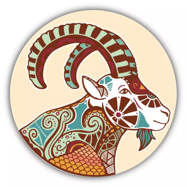 DOPASTICKER Aries Zodiac Astrology Sticker Decal Phone Decal Water ...