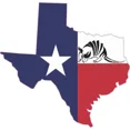 DOPASTICKER Armadillo Texas Sticker State Flag Sticker Phone Sticker ...