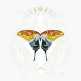 DOPASTICKER Aroace Luna Moth Cottagecore Sticker, Phone Sticker Car ...