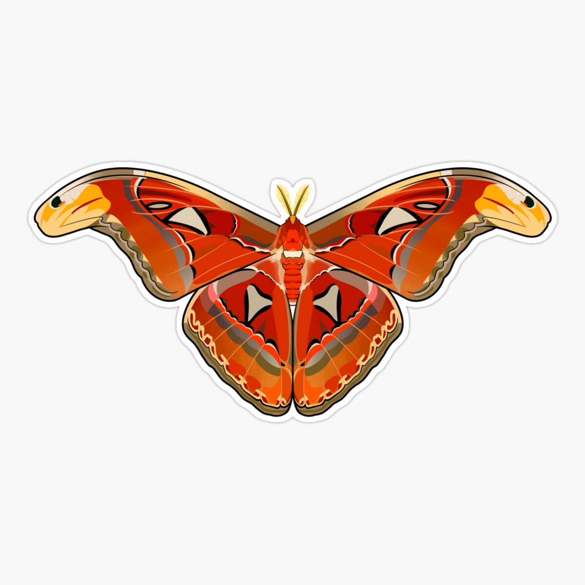 DOPASTICKER Atlas Moth Sticker, Phone Sticker Water Bottle Sticker Car ...