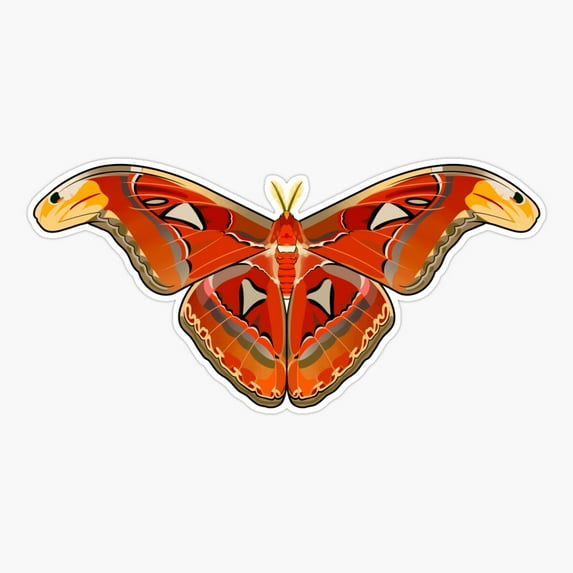 DOPASTICKER Atlas Moth Sticker, Phone Sticker Water Bottle Sticker Car ...