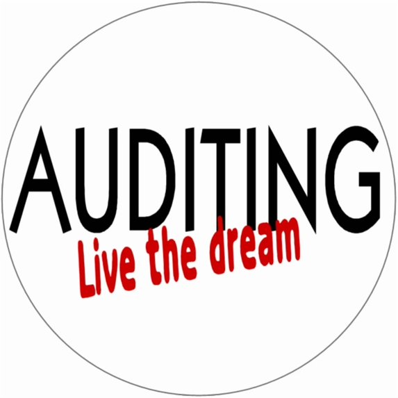 DOPASTICKER Auditing Live The Dream Sticker, Accountant Phone Decal ...