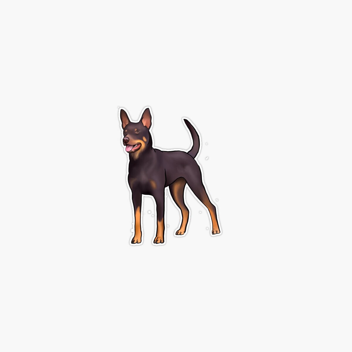 DOPASTICKER Australian Kelpie Sticker, Phone Sticker Car Stickers ...