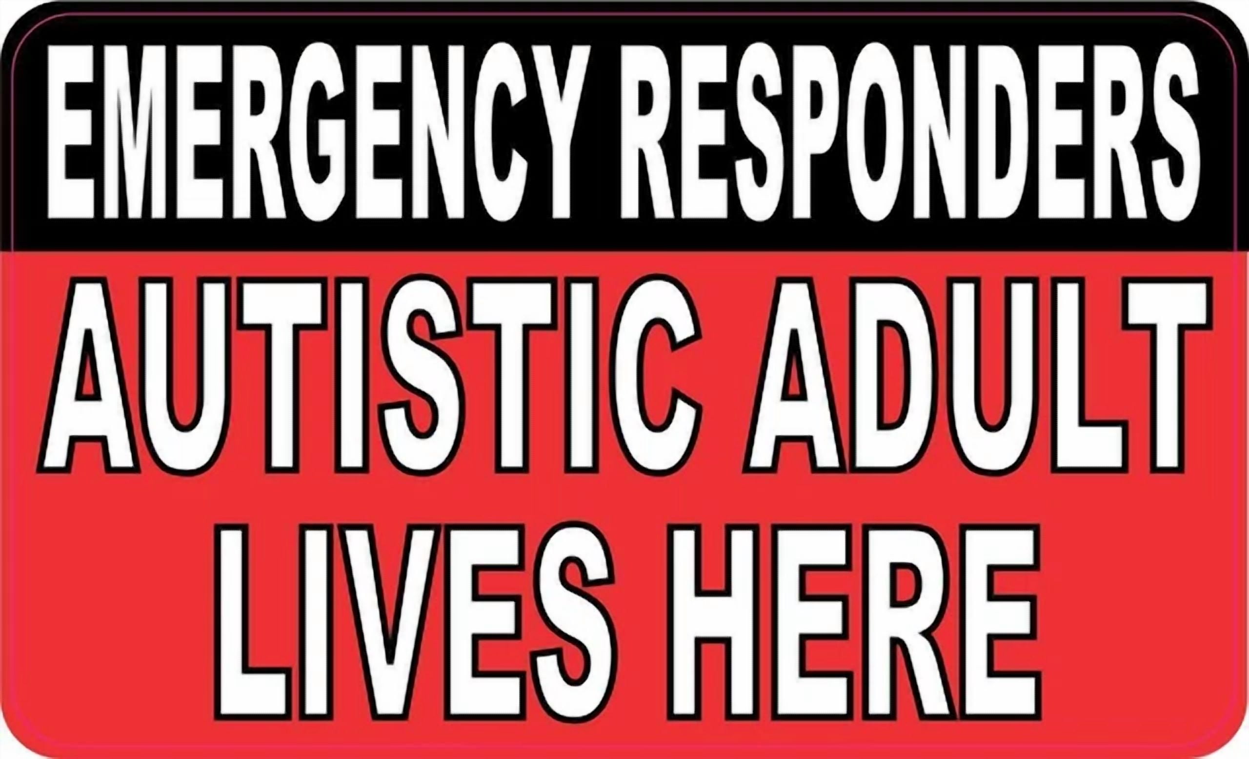 DOPASTICKER Autistic Lives Here Sticker Phone Sticker, Latop Sticker ...