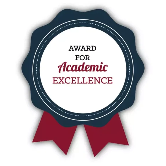 DOPASTICKER Award For Academic Excellence Badge Sticker Decal Phone ...