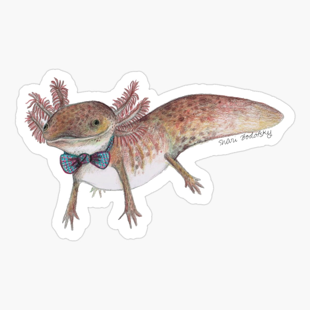 DOPASTICKER Axolotl Bowtie Dapper Sticker, Phone Sticker Car Stickers ...