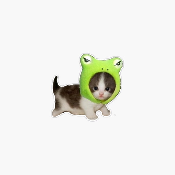 DOPASTICKER Baby Cat With Frog Hat Sticker, Phone Sticker Car Stickers ...