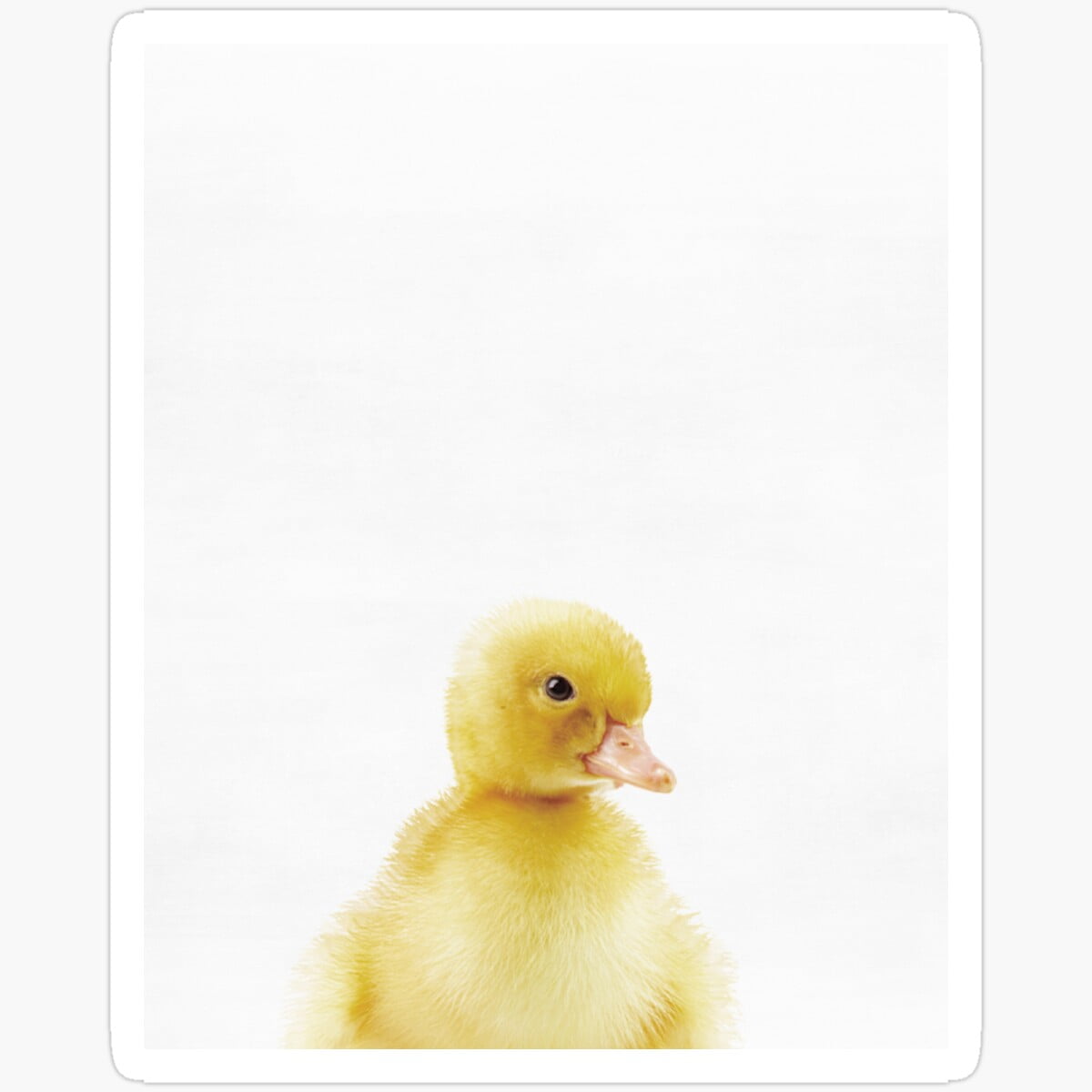 DOPASTICKER Baby Duck, Nursery, Animal, Sticker Birthday Gifts Phone ...